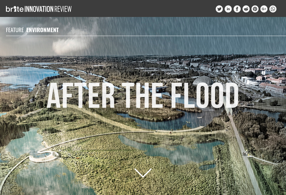 After the flood: the pioneering architects embracing flood-conscious ...
